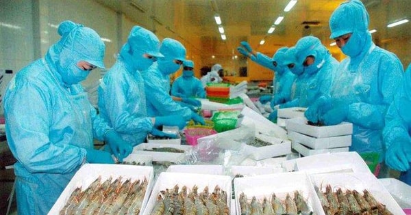 Một công ty bất động sản bán ra gần 7 triệu cổ phiếu Seaprodex (SEA ...