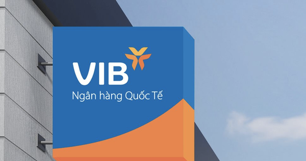 VIB sẽ trả cổ tức 15% bằng tiền và 20% bằng cổ phiếu trong năm nay, năm ...