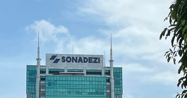 Doanh thu chính đạt kỷ lục, Sonadezi (SNZ) báo lãi sau thuế gần 1.400 ...