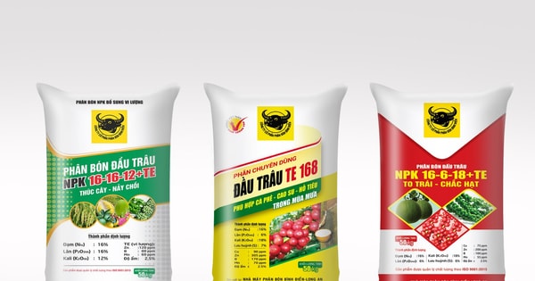 Chi phí gia tăng, Phân bón Bình Điền (BFC) báo lãi “bốc hơi” hơn 30% ...