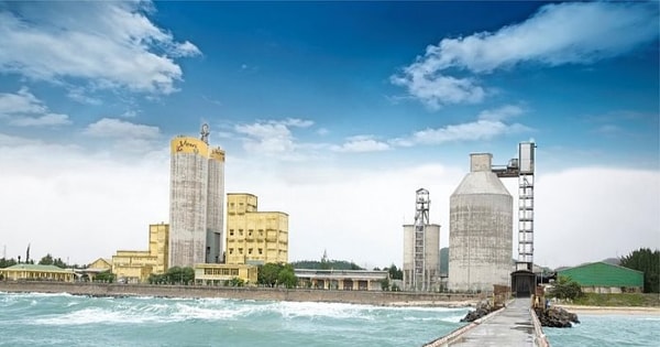 Cổ phiếu Vicem Hải Vân (HVX) rơi vào diện cảnh báo