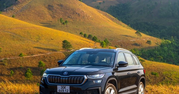 Skoda bứt phá doanh số nửa đầu 2024: Cuộc đua tại Việt Nam chỉ mới bắt đầu