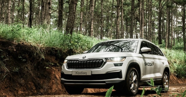 Bộ đôi SUV Skoda giảm giá tối đa 166 triệu tháng cuối năm