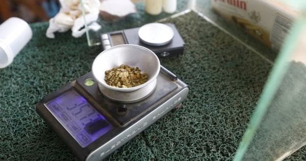 Nơi vàng là ‘lộc trời cho’: Có thể đào được cả cân vàng trong một ngày ...